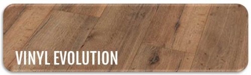 VINYL EVOLUTION - Tahubrico